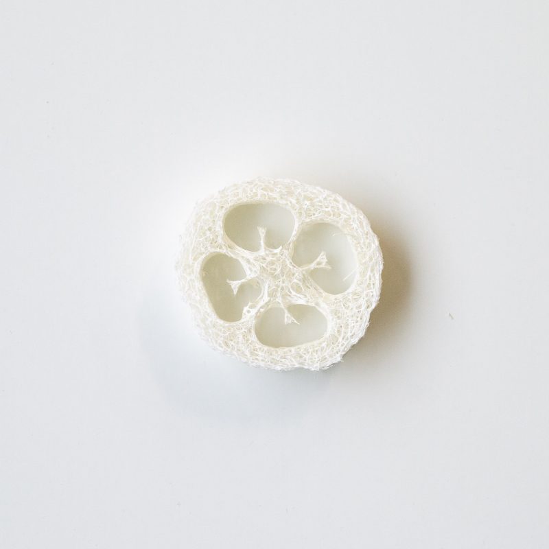 Festes Shampoo - Aloe Vera – Little Bee Fresh